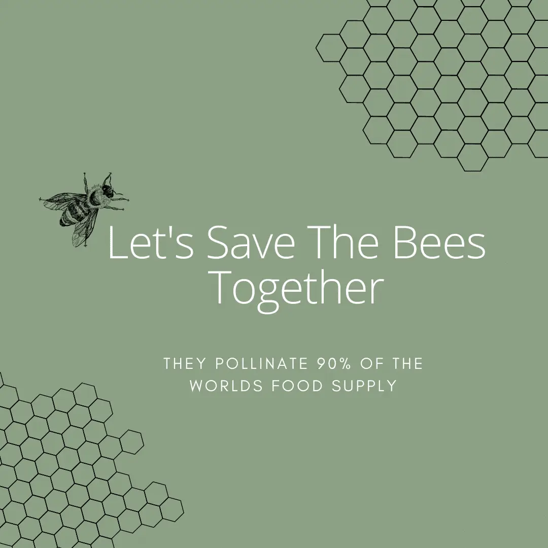 Bees,Bees magnificent little Bees! • Microgarden