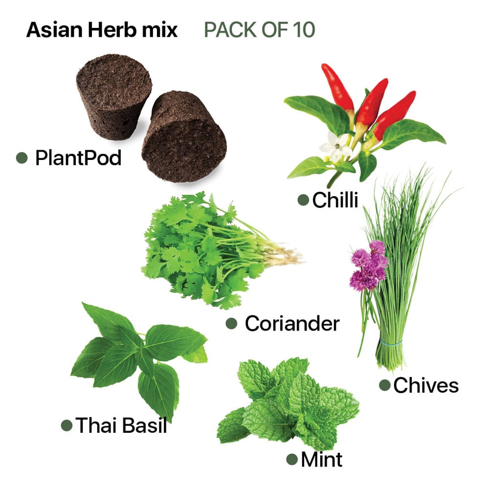 Asian Herb Mix -Plant Pod - Pack of 10 • Microgarden