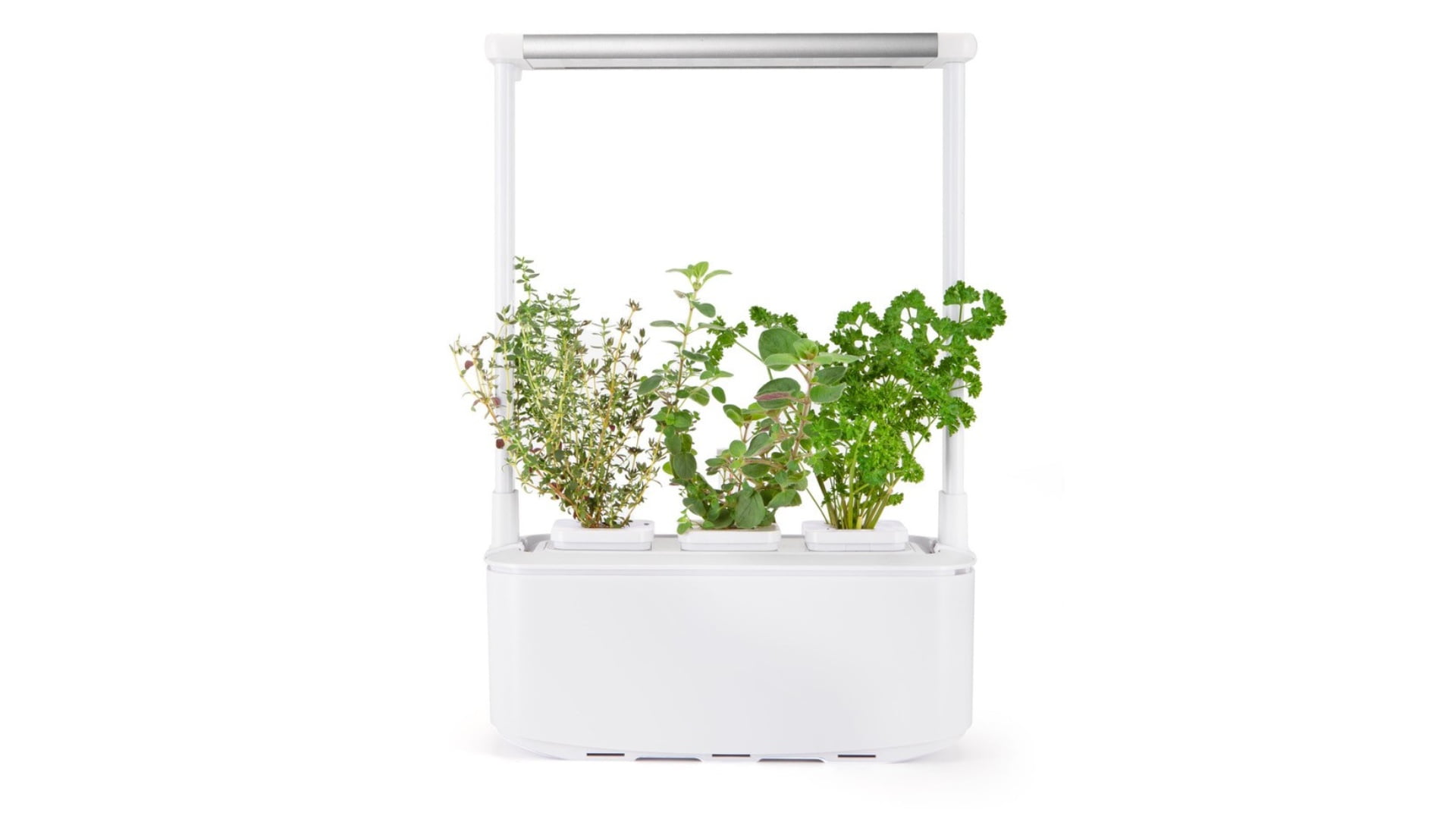 Hydroponic Systems: From EBB & Flow To Smart Gardens